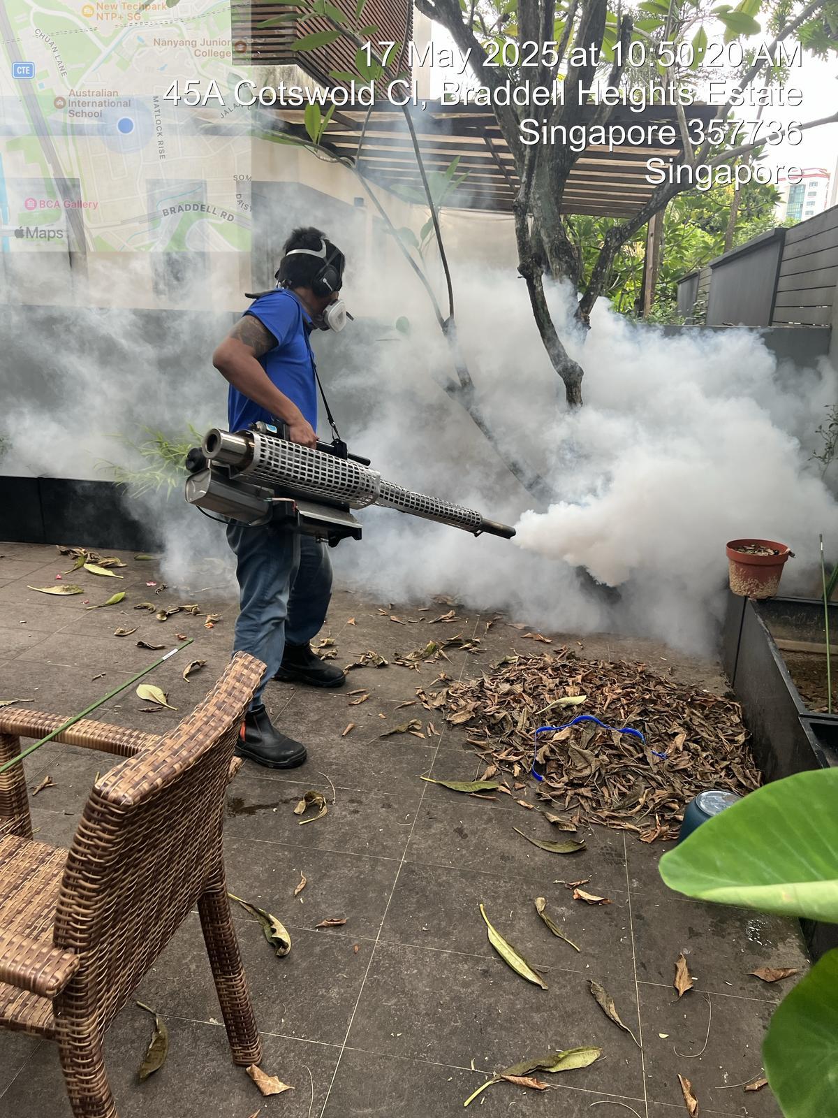 Pest Control Singapore: Fast, Safe & NEA-Certified Services